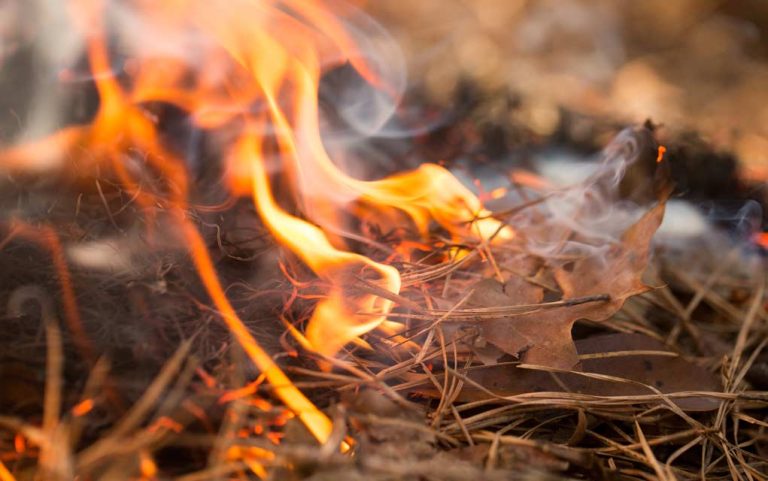 Backyard Burn Pile Safety | Modern Survival